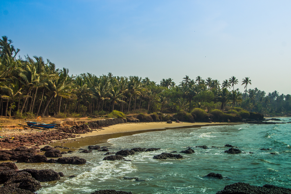 Scenic Road Trip through the Konkan Coast | Greenleaf Resort
